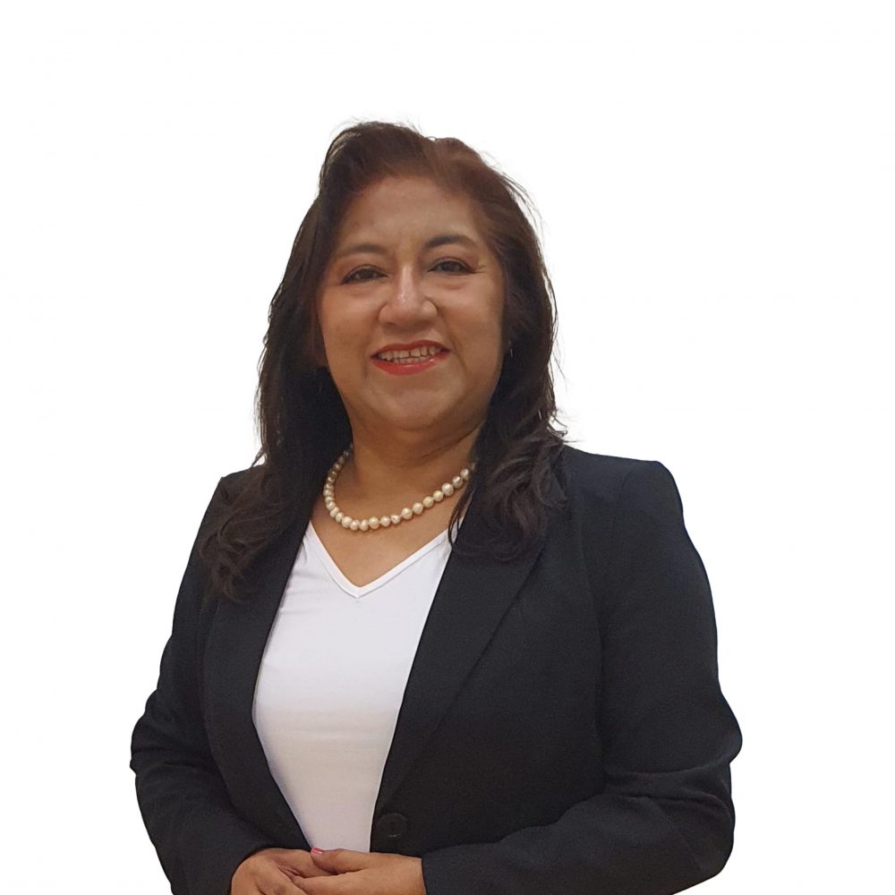 Elsa Ramírez Hernández - Banco de Consejeros